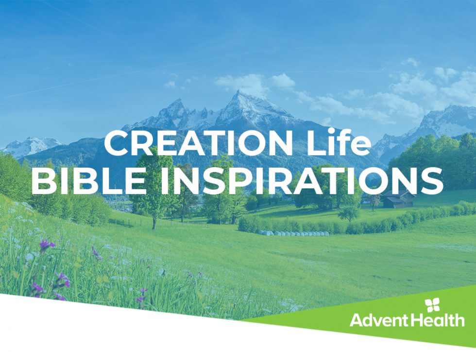 CREATION Life Bible Inspirations | CREATION Life